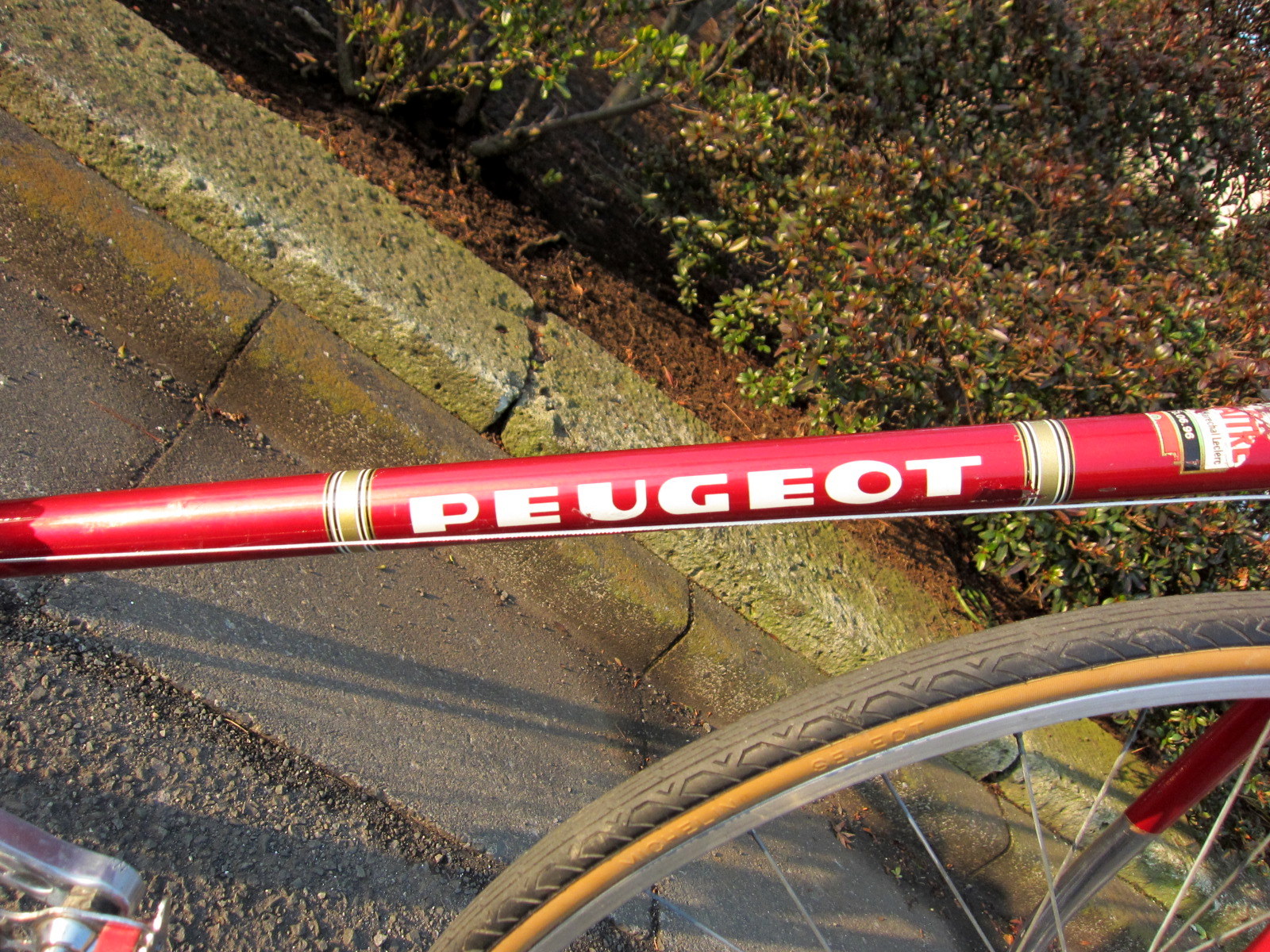 PEUGEOT ビンテージプジョー PX60？？？: PEUGEOT （プジョー）自転車など「たまにイタリア・イギリス車」